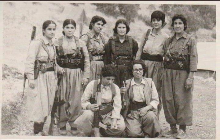 Revolution in Şino – ak analyse & kritik